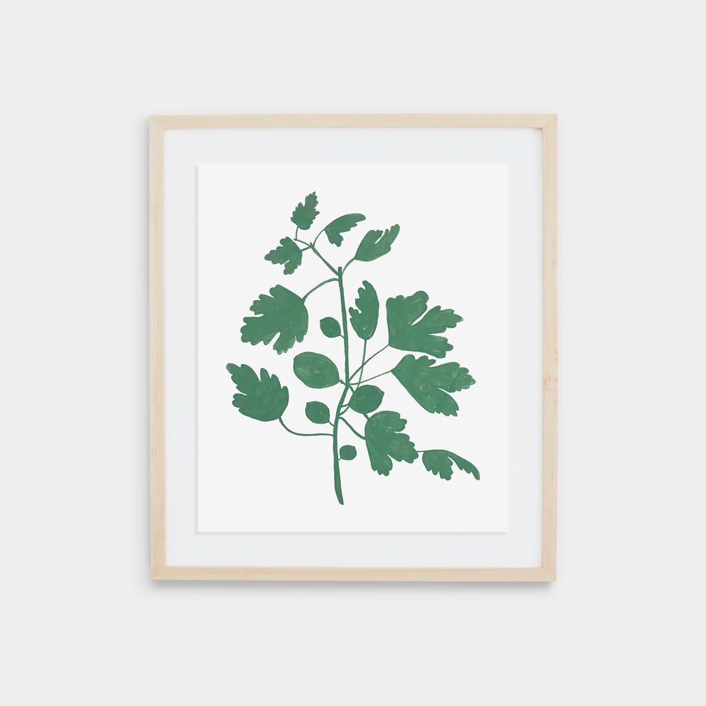 Fig Print - Spruce – Lewis